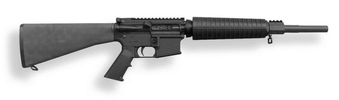 The Most Versatile Semi-Automatic Rifles