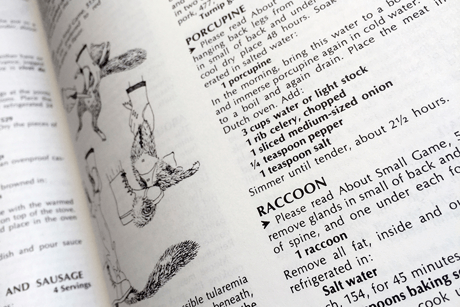 How to Cook Raccoon: A Recipe for Brined Bandit and Sweet Potato Hash