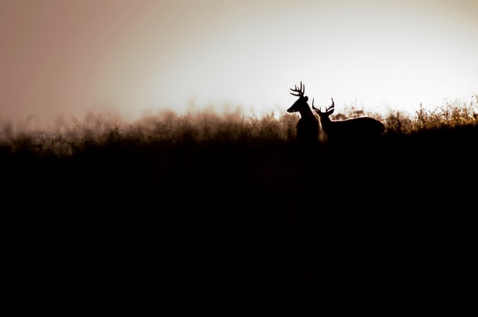The Tlingit Legend of the Kóoshdaa Káa | Outdoor Life