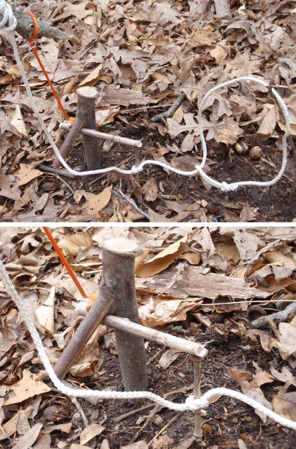 A Guide to the 15 Best Survival Traps of All Time