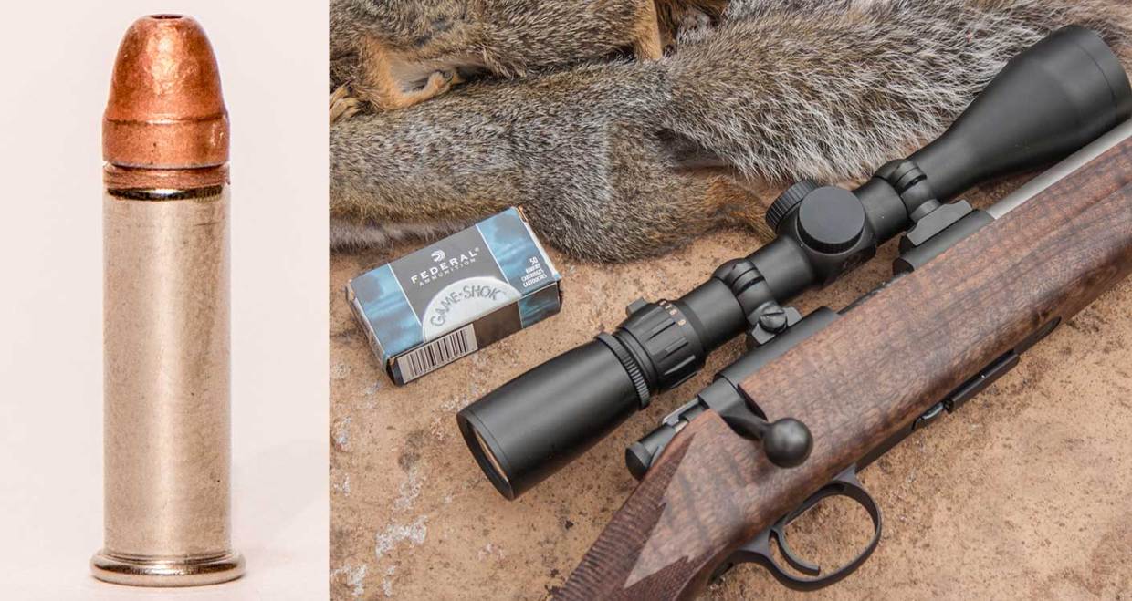 The Top 10 Essential Cartridges for the American Shooter