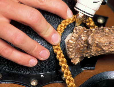 How to Mount Your Own Deer Antlers