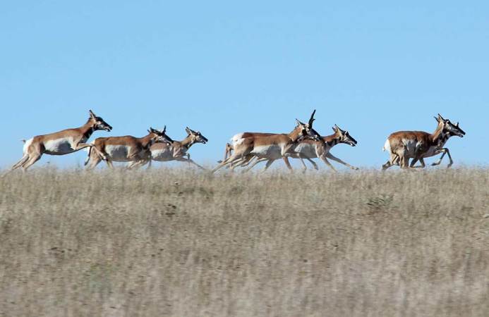 The 11 Best Hunts of Summer