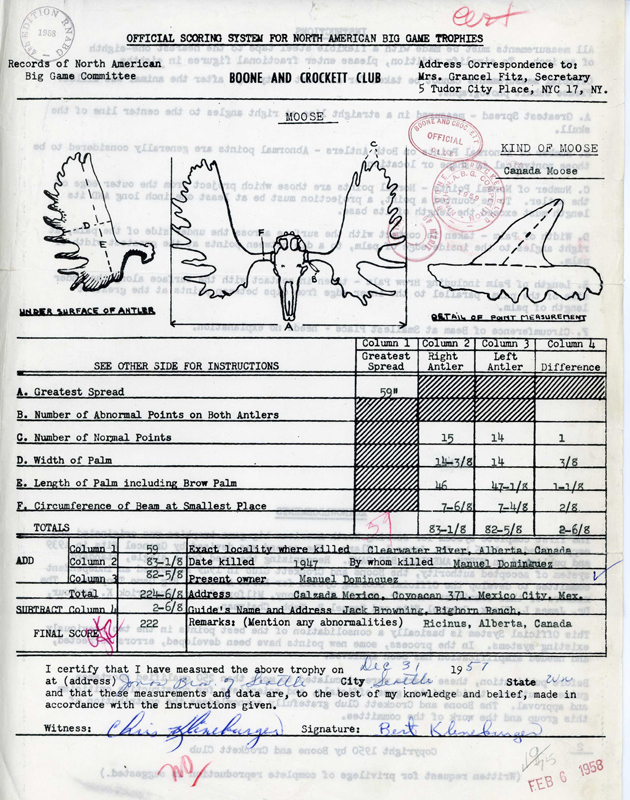 The Top 40 Biggest Moose Ever Taken