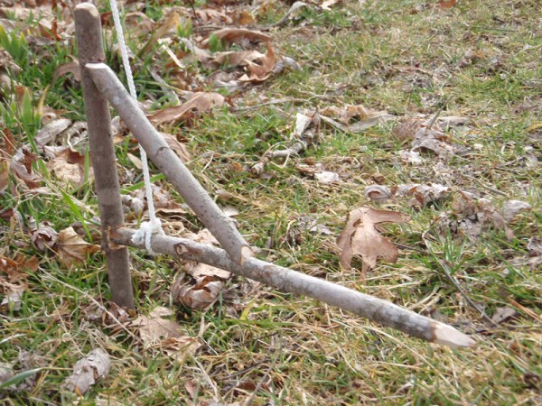 A Guide to the 15 Best Survival Traps of All Time