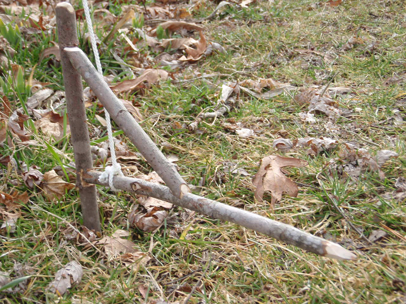 A Guide to the 15 Best Survival Traps of All Time