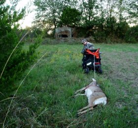 19 Ways to Transport a Whitetail Deer