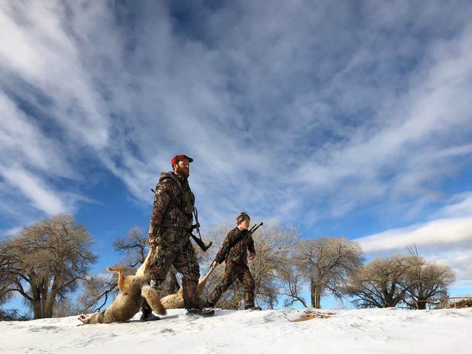 13 Predator Hunting Tips and Tactics from Expert Coyote and Bobcat Hunters