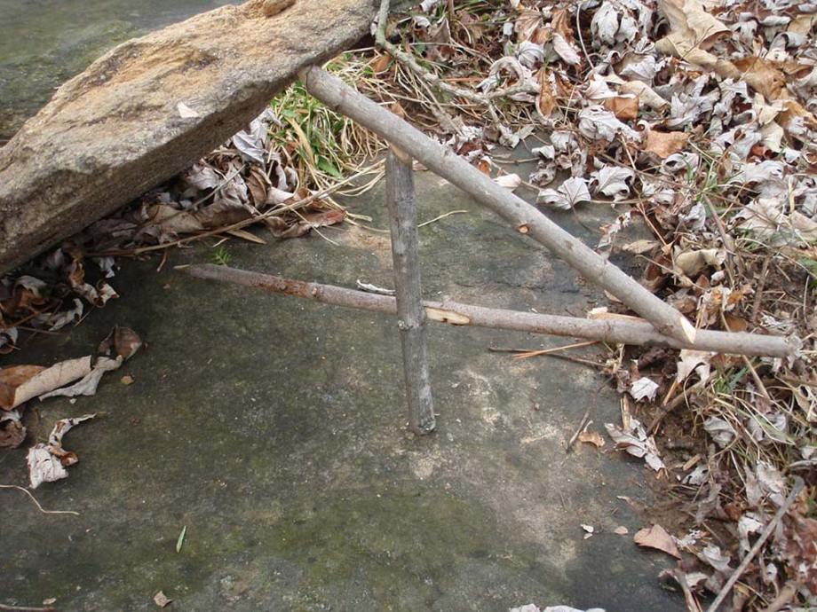 How to Rig a Paiute Deadfall Trap, Step by Step
