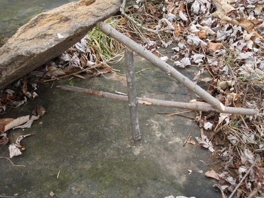 How to Rig a Paiute Deadfall Trap, Step by Step