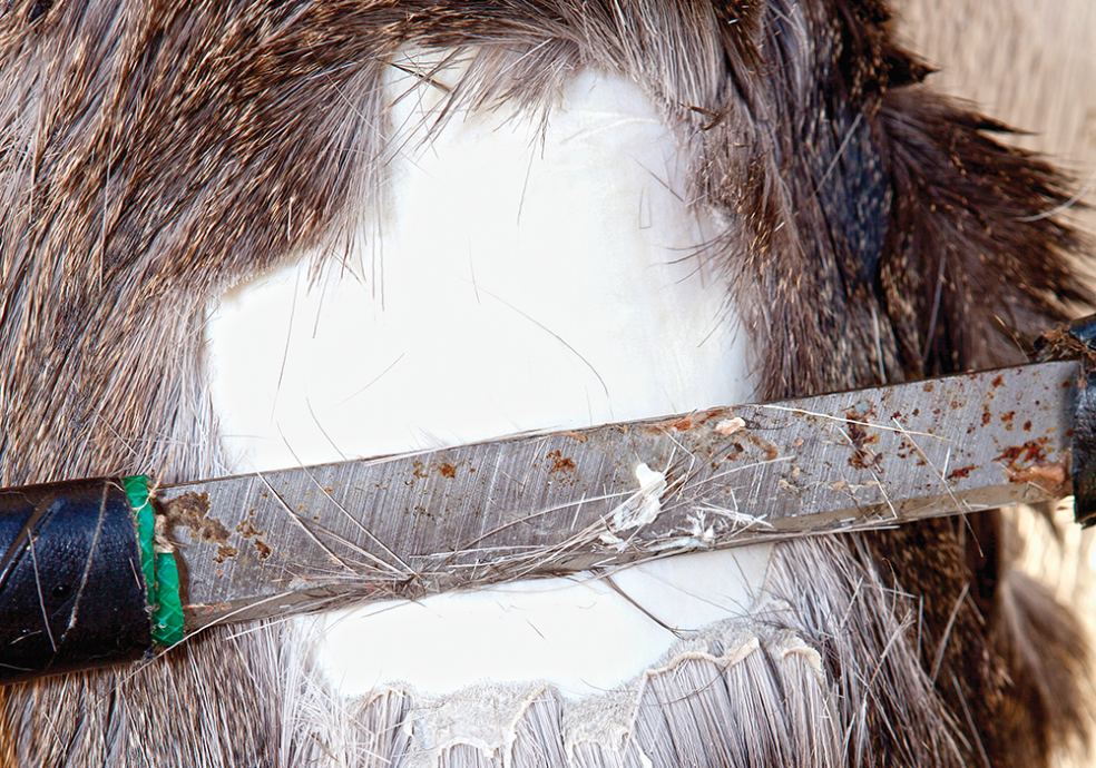 How to Brain-Tan a Deer Hide in 8 Steps
