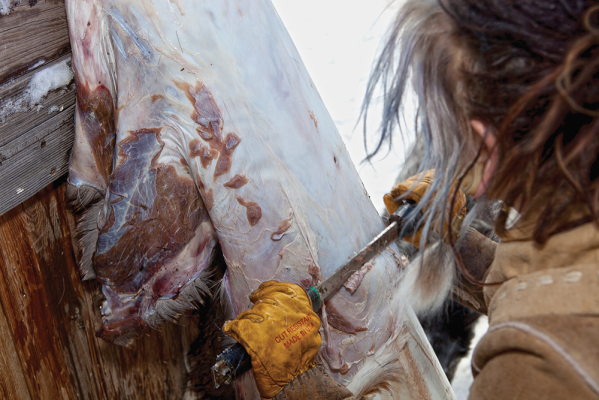 How to Brain-Tan a Deer Hide in 8 Steps