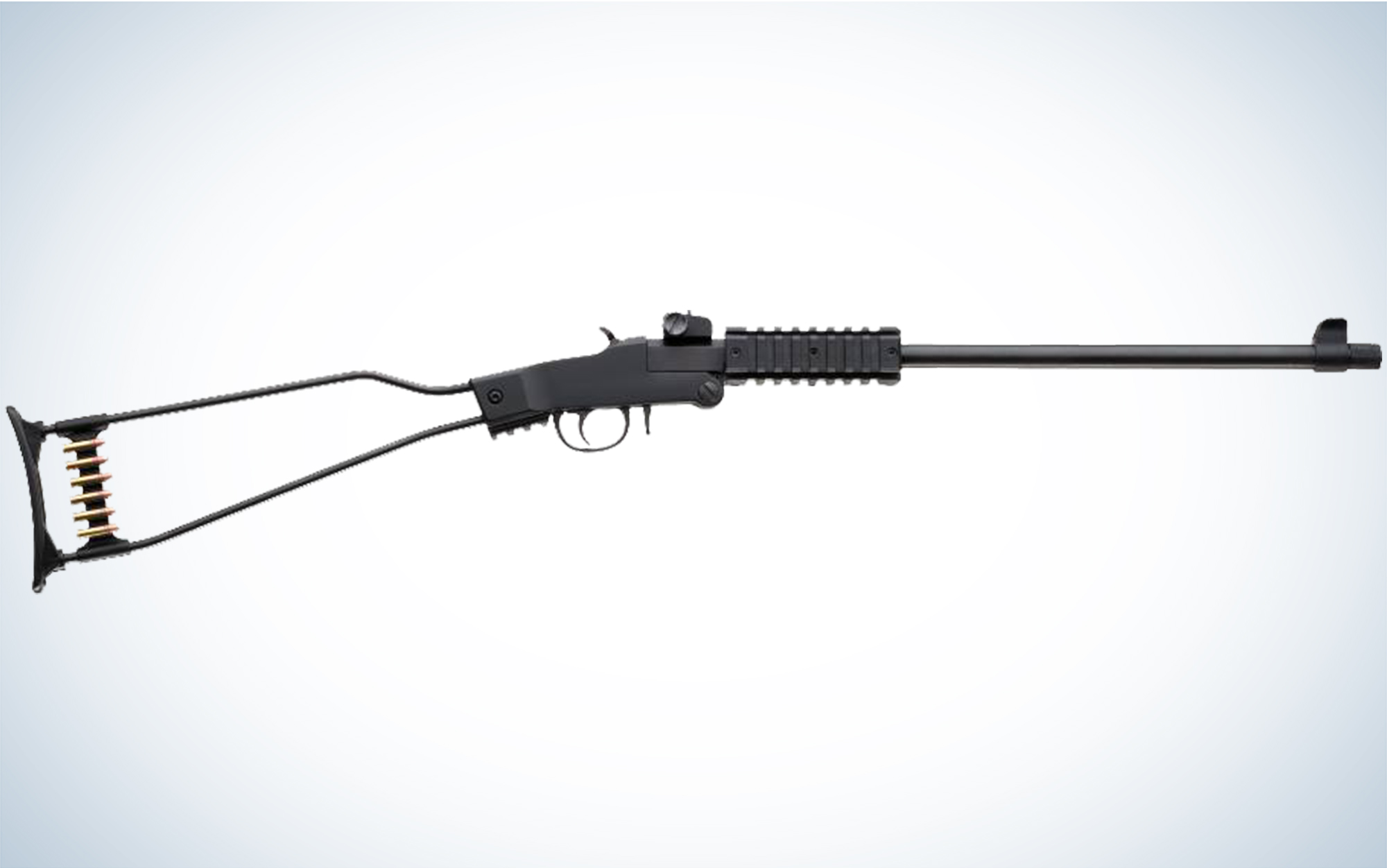 The Six Best Survival Rifles Under $600