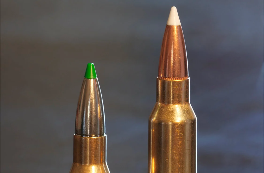 300 Win Mag vs 308 Win: Ballistics, Cost, and Accuracy