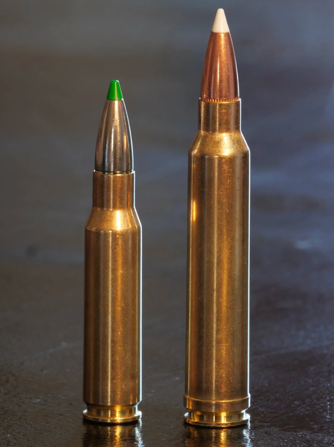 300 Win Mag vs 308 Win: Ballistics, Cost, and Accuracy