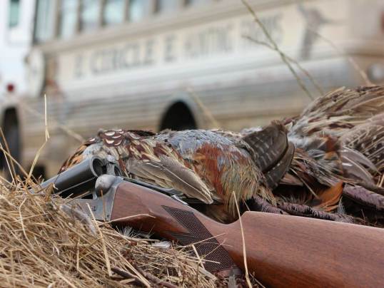 Hunting Trucks: 10 Badass Rigs Designed to Hunt Anywhere