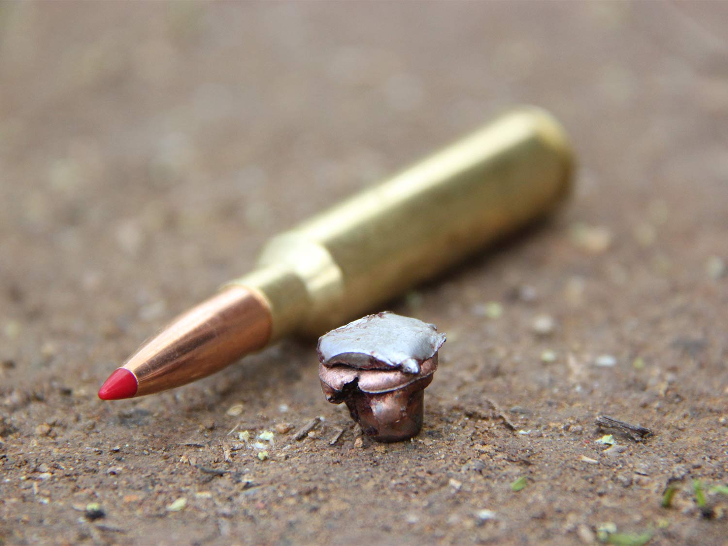 Why Bullet Design is More Important than Cartridge Choice