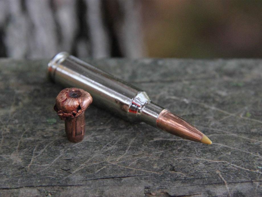 Why Bullet Design is More Important than Cartridge Choice