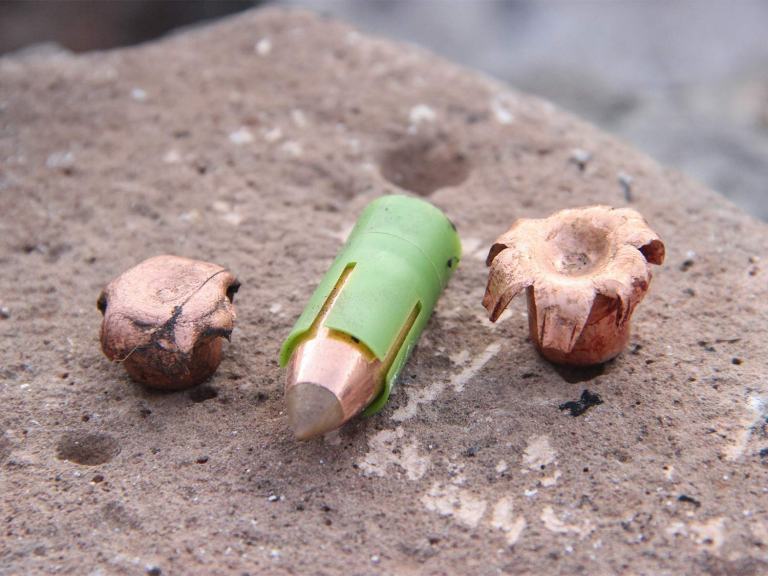 Why Bullet Design is More Important than Cartridge Choice