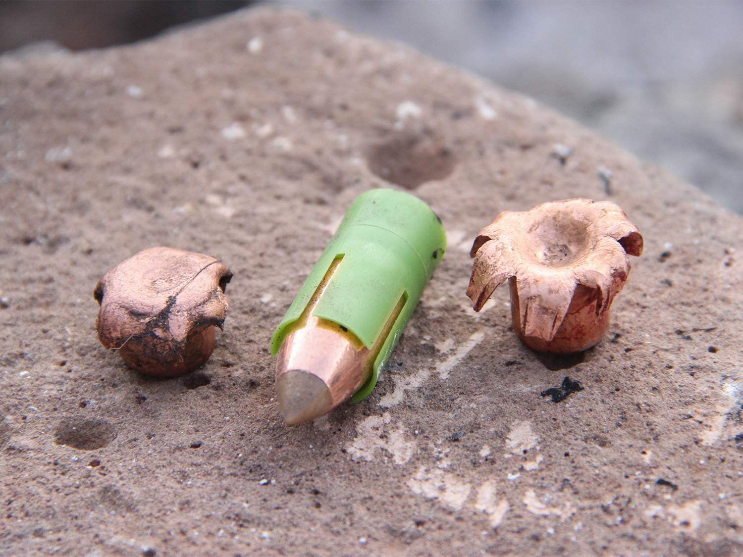 Why Bullet Design is More Important than Cartridge Choice
