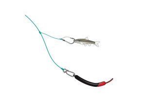 15 Bait Rigs That Will Catch Any Fish Anywhere