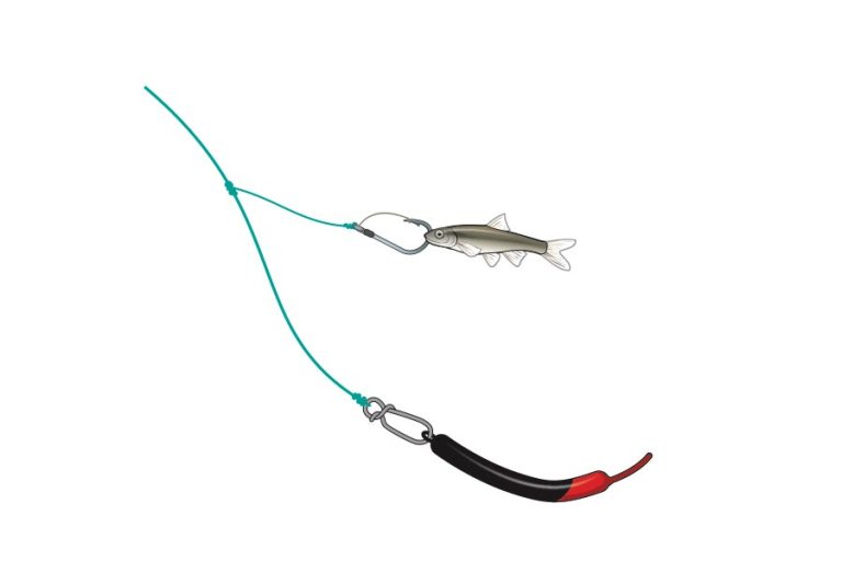 15 Bait Rigs That Will Catch Any Fish Anywhere