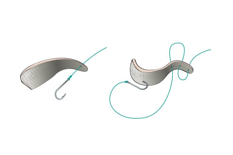 15 Bait Rigs That Will Catch Any Fish Anywhere