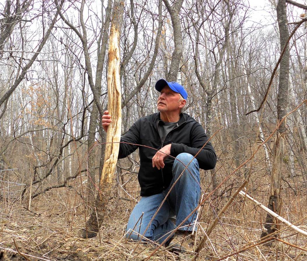 How to Hunt Buck Rub Lines, Tips from the Deer Hunter Who First ...