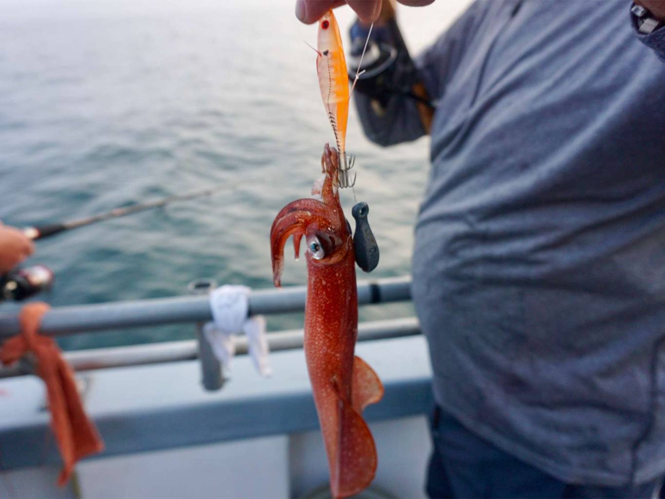 Fishing for Squid is an All-Night, Ink-Soaked Party