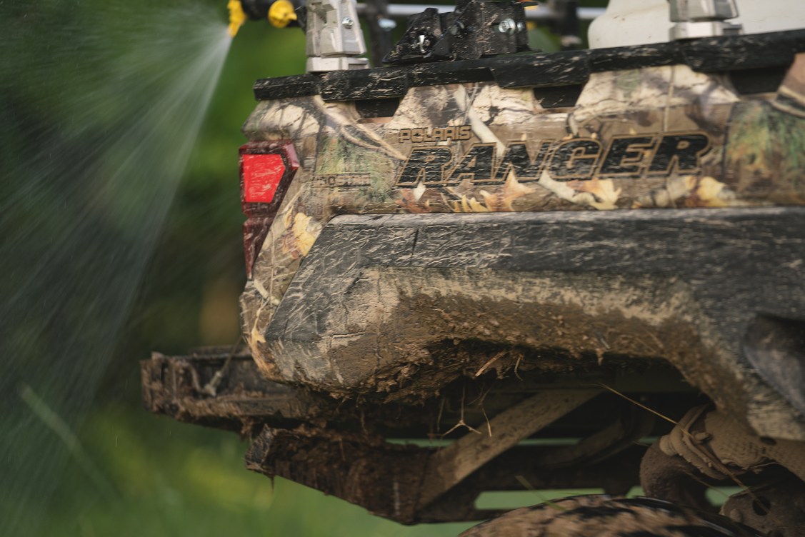 The Cheapest Food Plot You'll Ever Plant