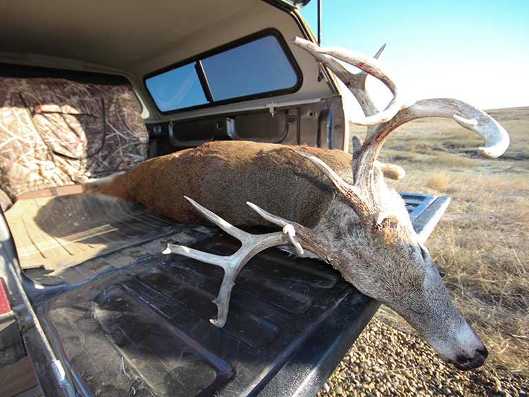 9 Hard Truths About Hunting on Public Land