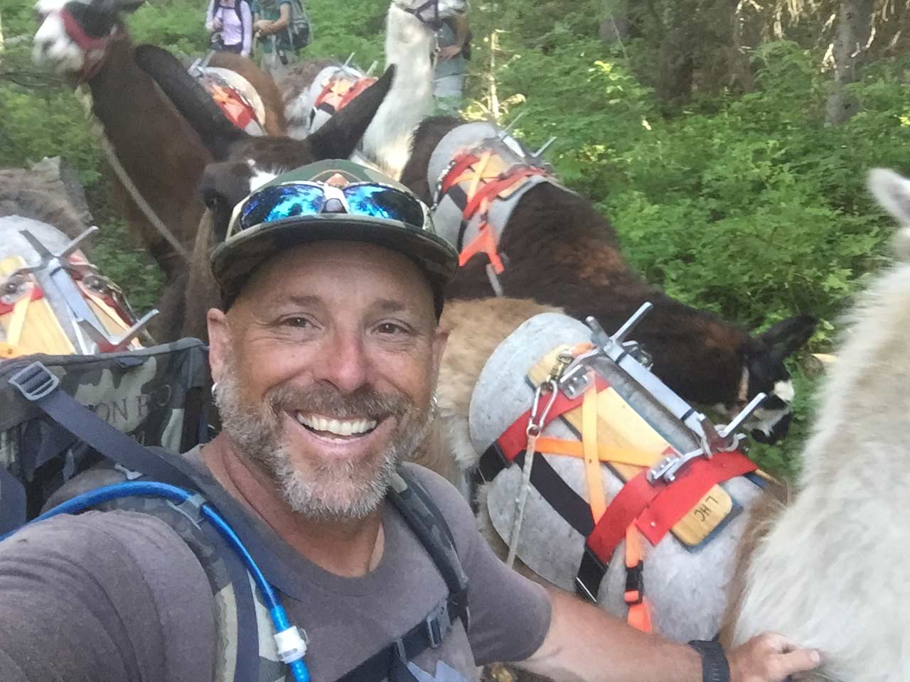 Find Elk From Your Kitchen Table With This 6-Step Digital Scouting Plan