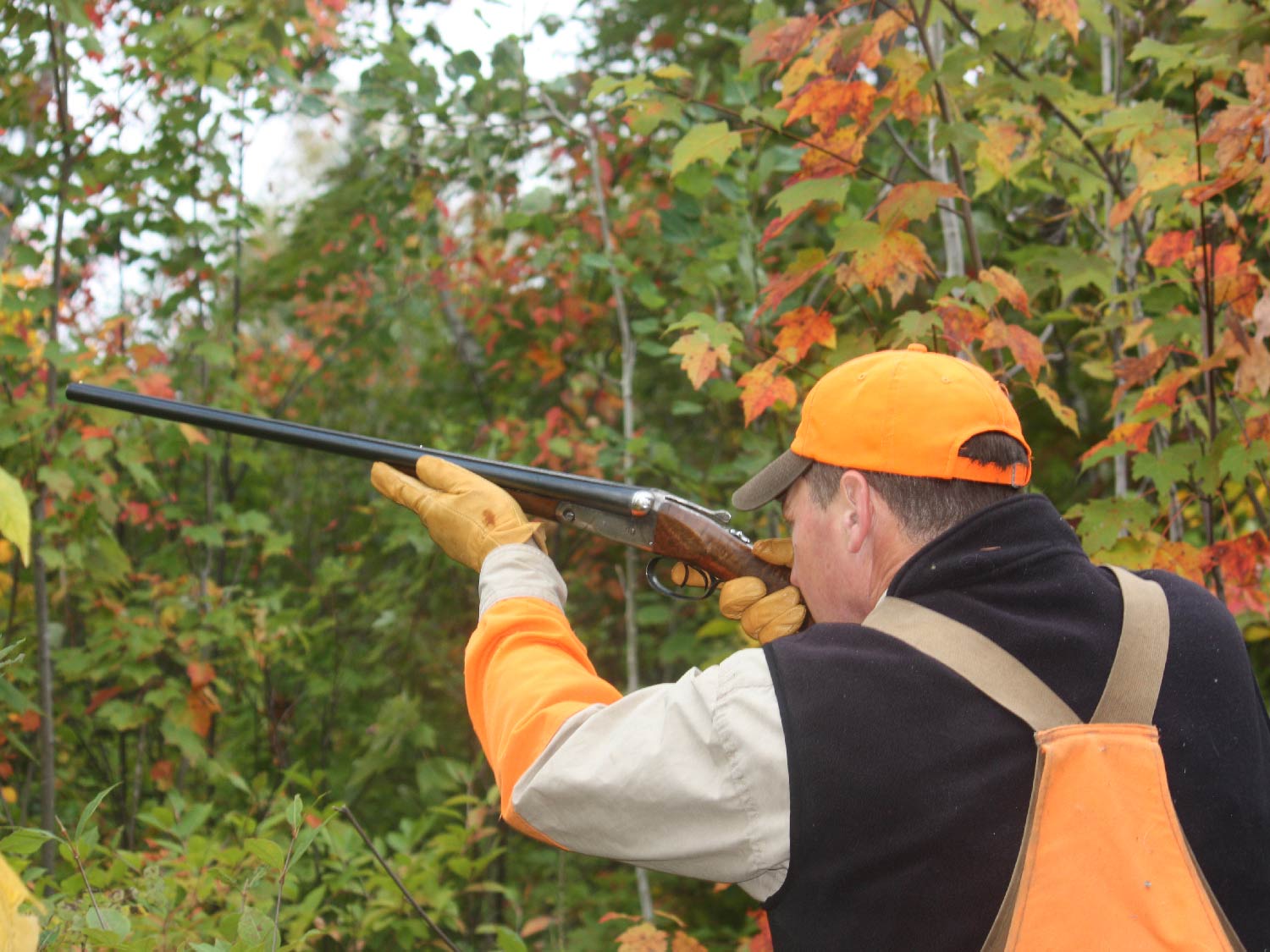 12 Ways to Improve your Wingshooting Skills