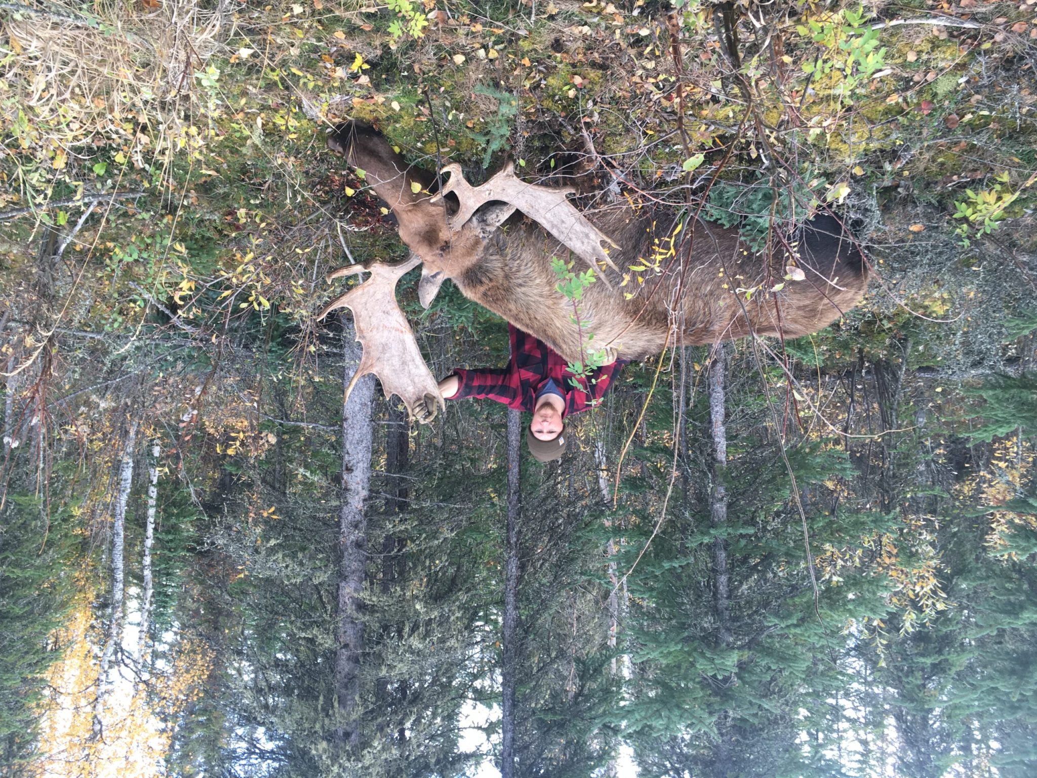 Top 10 Moose Cartridges and Bullets