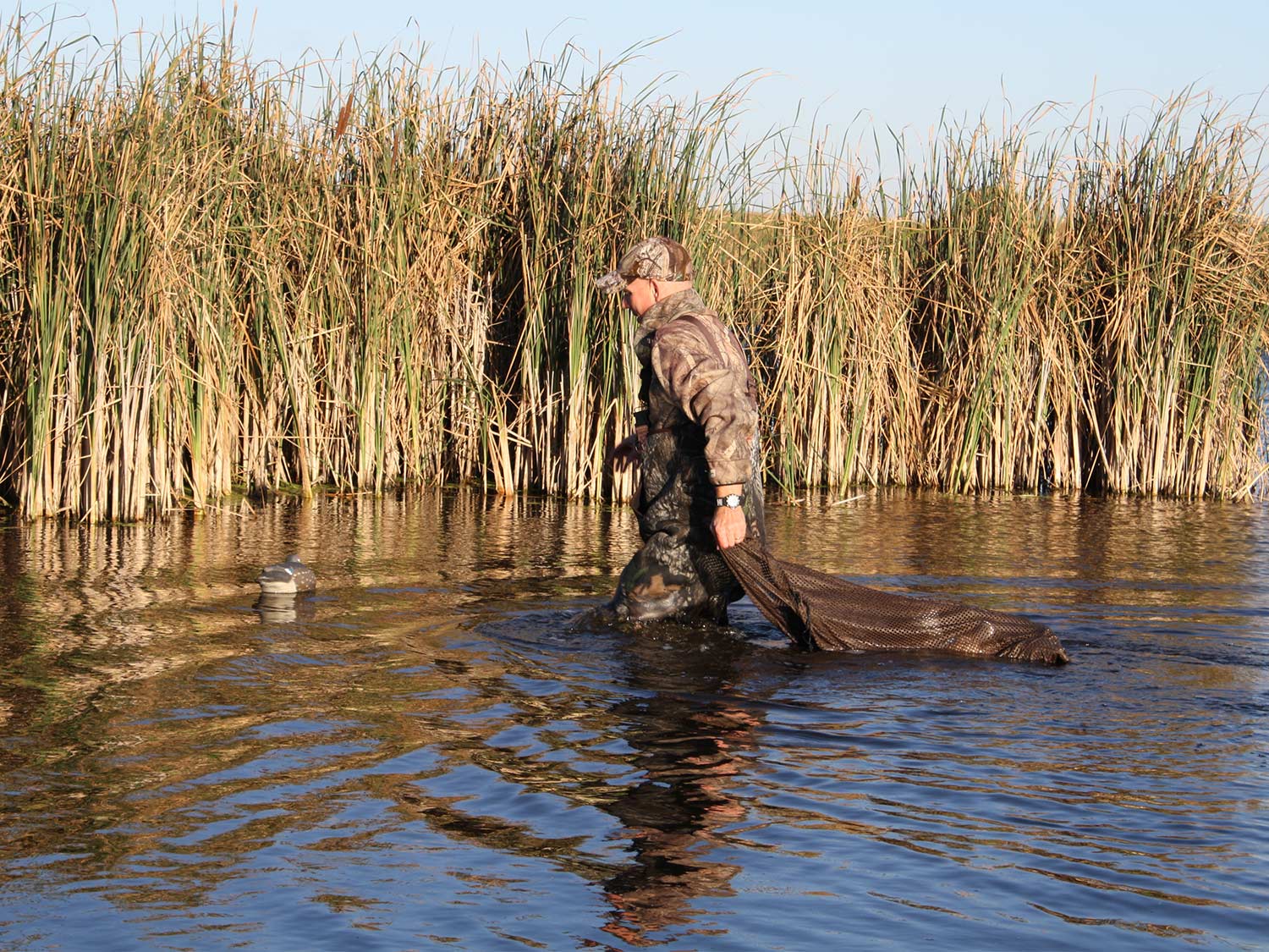 How to Hunt Ducks Without a Dog or a Boat