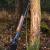 The Secrets Of Signpost Rubs