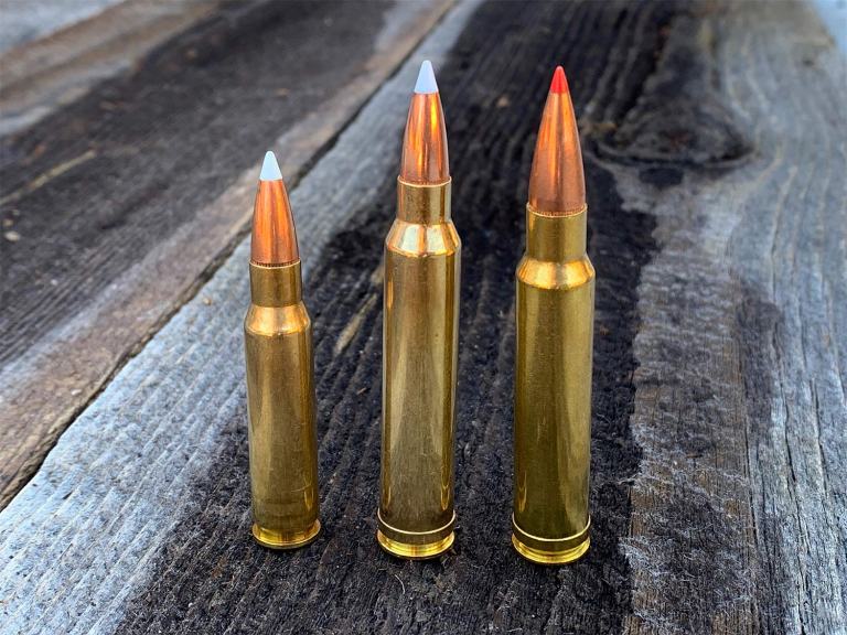 The Ultimate Rifle Cartridges for Grizzly and Brown Bears