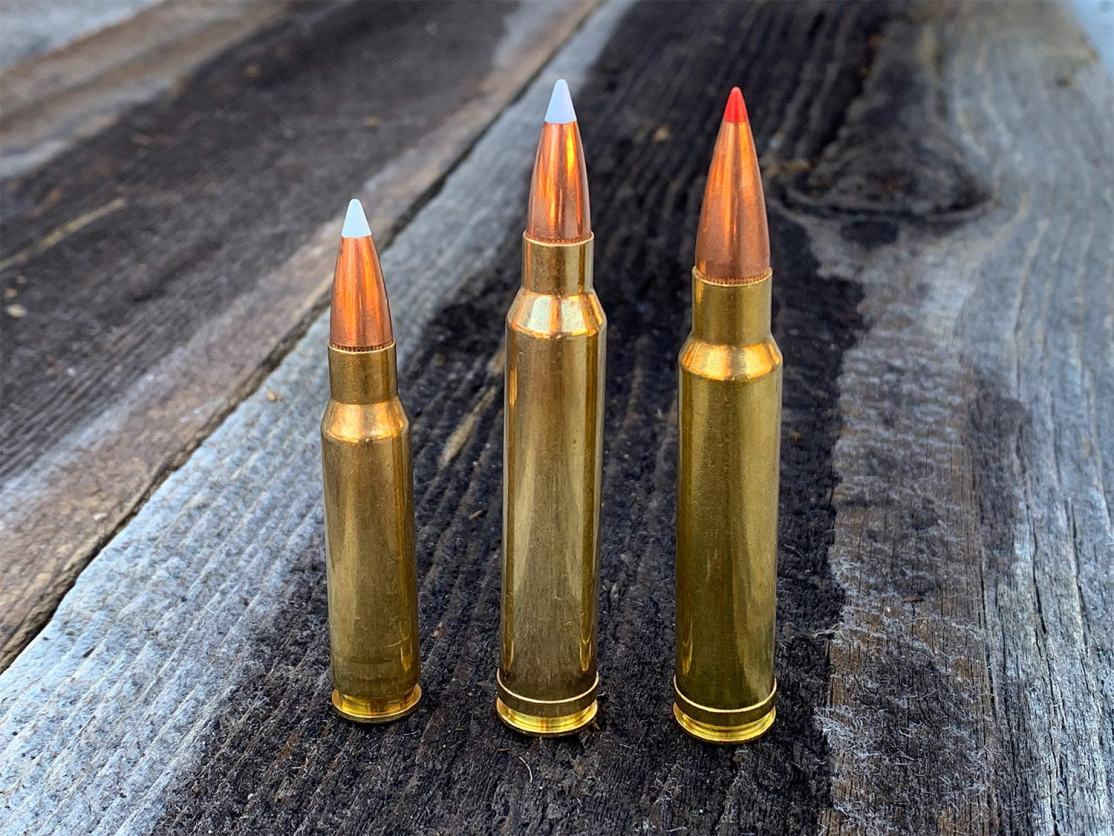 The Ultimate Rifle Cartridges for Grizzly and Brown Bears