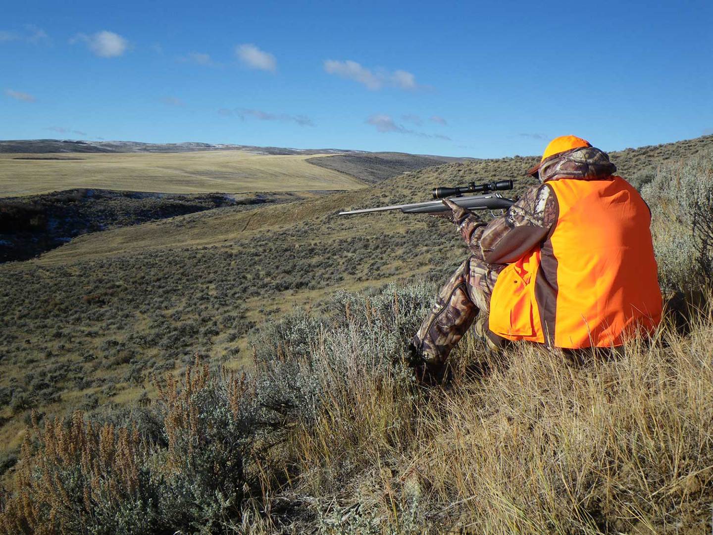 Mule Deer Cartridge Showdown: .270 Win. vs. 7mm Rem. Mag. vs. .300 Win ...