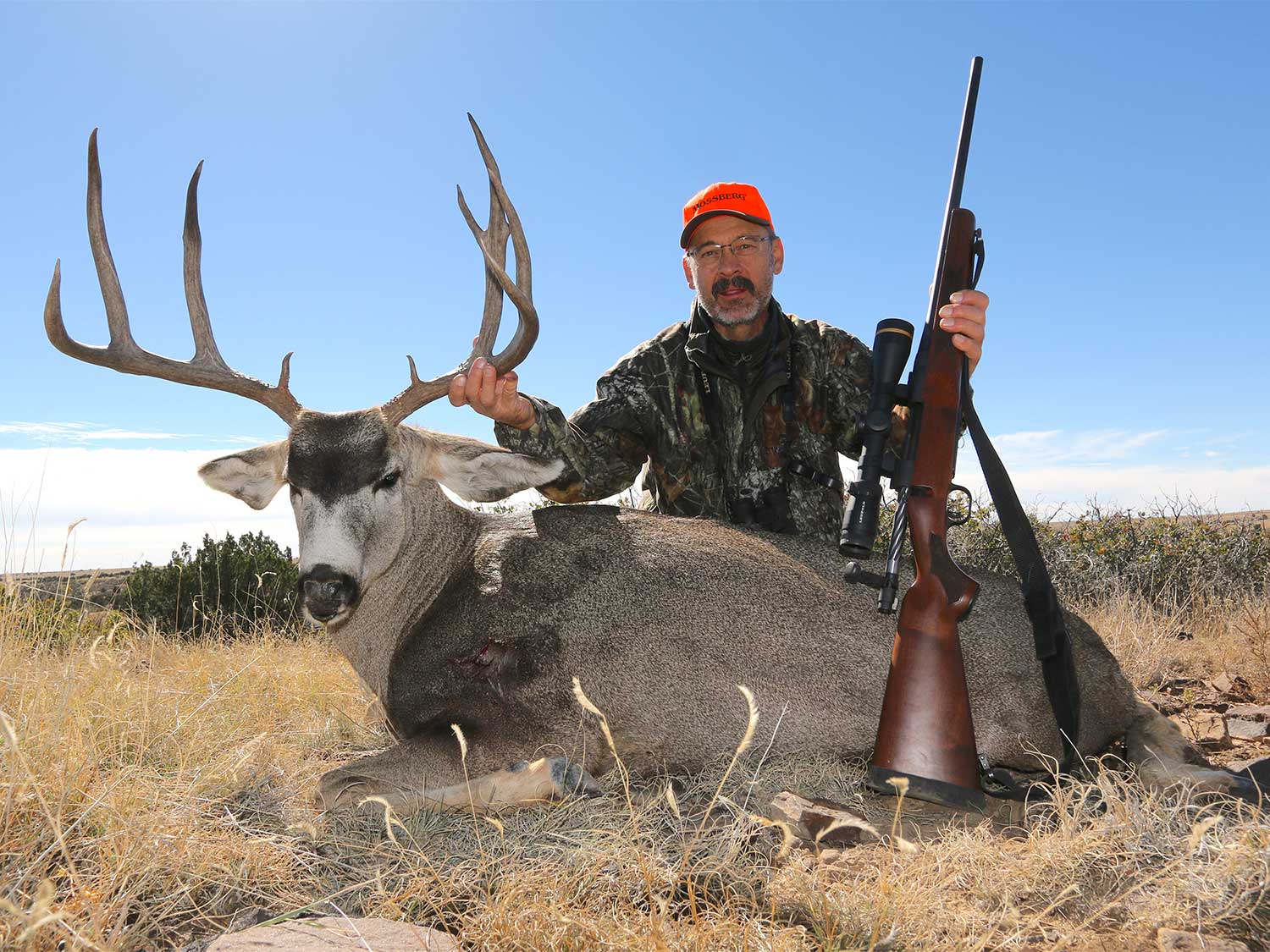 Mule Deer Cartridge Showdown: .270 Win. vs. 7mm Rem. Mag. vs. .300 Win ...