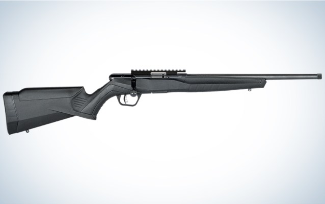 Best Guns for Rabbit Hunting