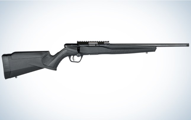 Best Guns for Rabbit Hunting