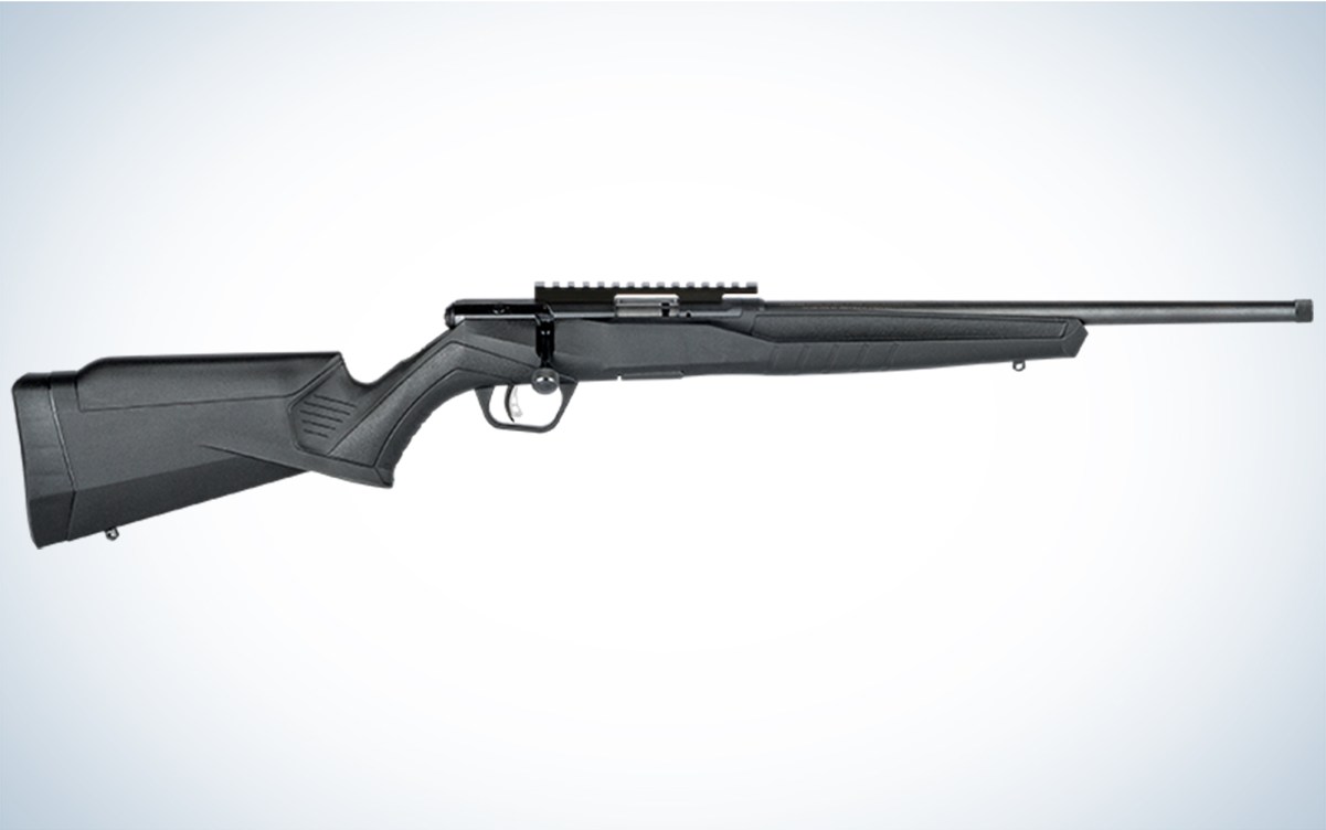 Best Guns for Rabbit Hunting