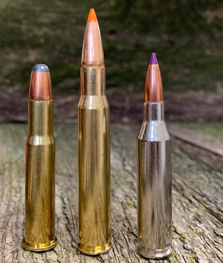 Deer Cartridge Showdown: .223 Rem. vs .30/30