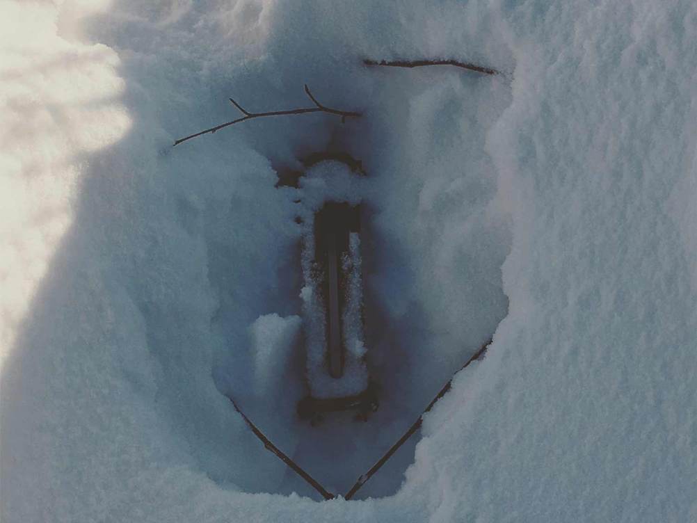 10 Lessons for First-Time Fur Trappers