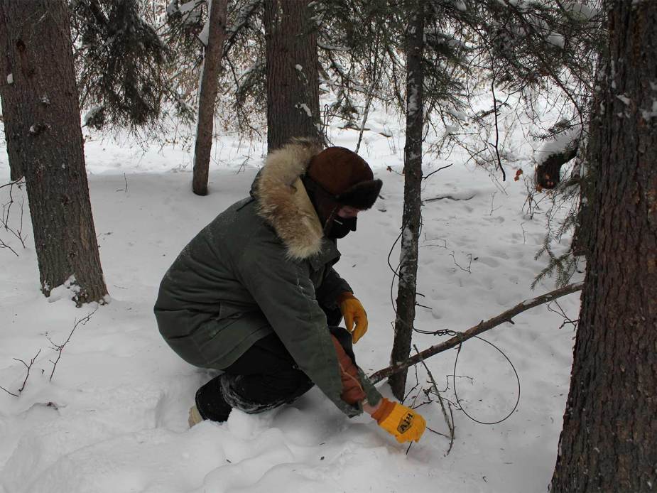 10 Lessons for First-Time Fur Trappers