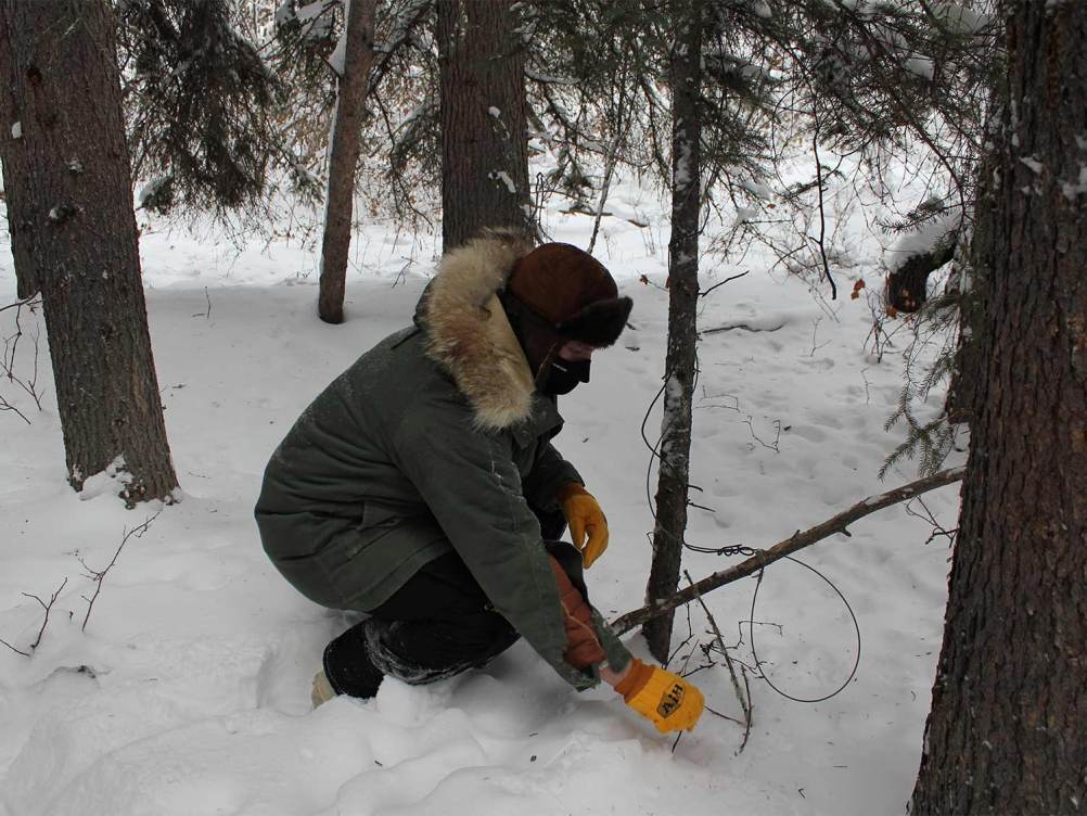 10 Lessons for First-Time Fur Trappers