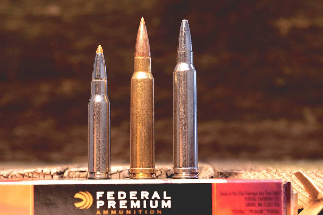 The Ultimate Rifle Cartridges for Grizzly and Brown Bears