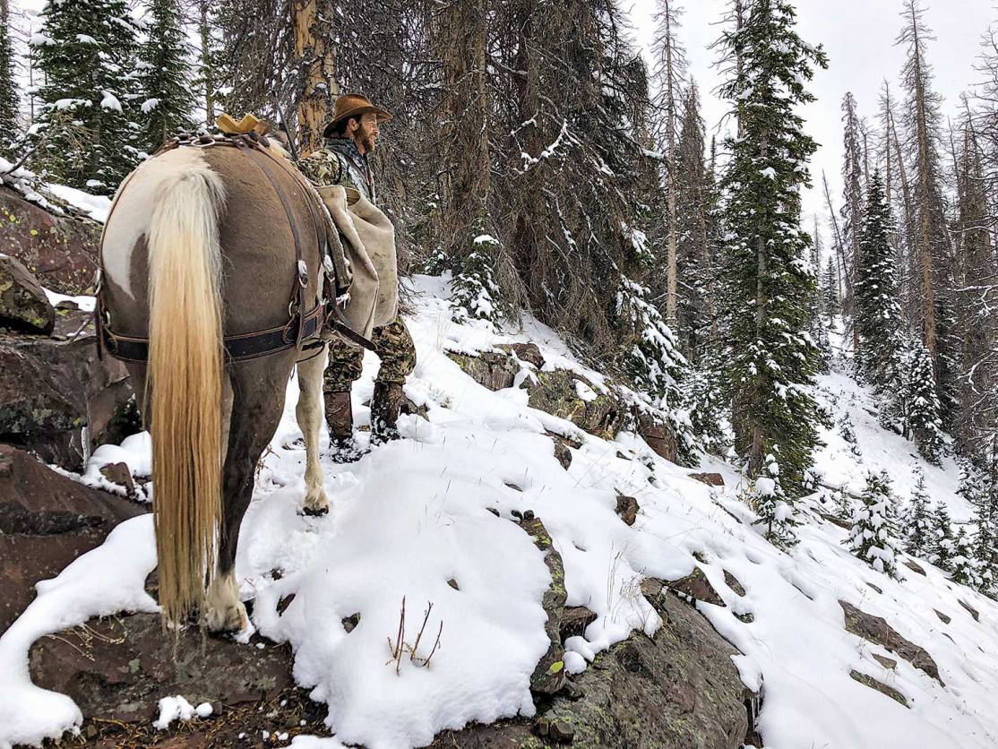 Elk Hunting a Secret Public-Land Spot in the Utah Backcountry
