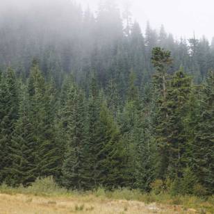 9 Natural Shelters that will Save Your Life